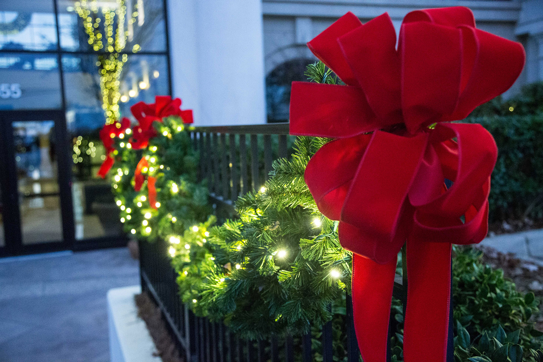 Holiday | Life On Earth